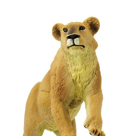 Bengali Lion - Radhika Store