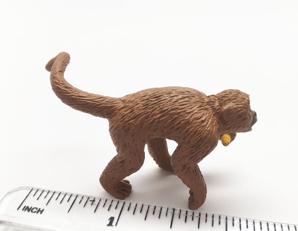 Vrindavan Monkeys - Radhika Store