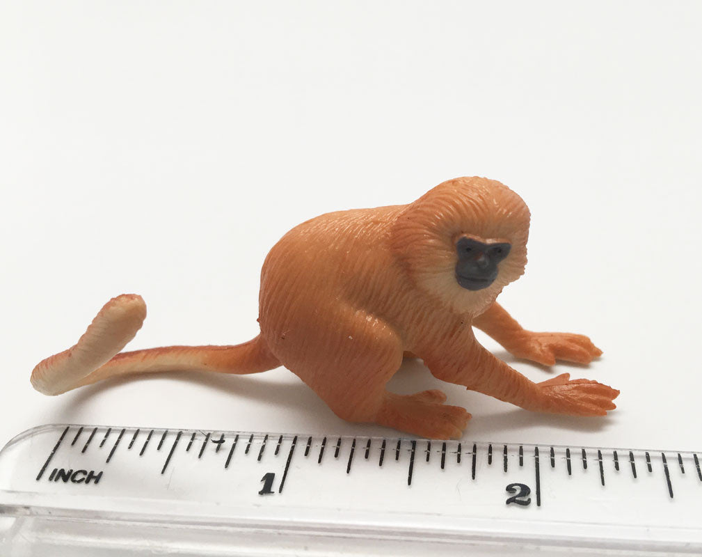 Vrindavan Monkeys - Radhika Store